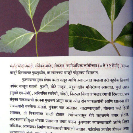 Deshi Vruksha - देशी वृक्ष By S.D. Mahajan - Buy Marathi Books Online ...
