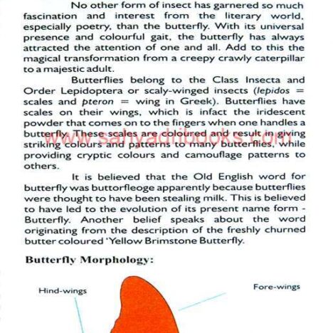 Butterflies Of Goa By Parag Rangnekar - Buy Butterflies Books Online At ...